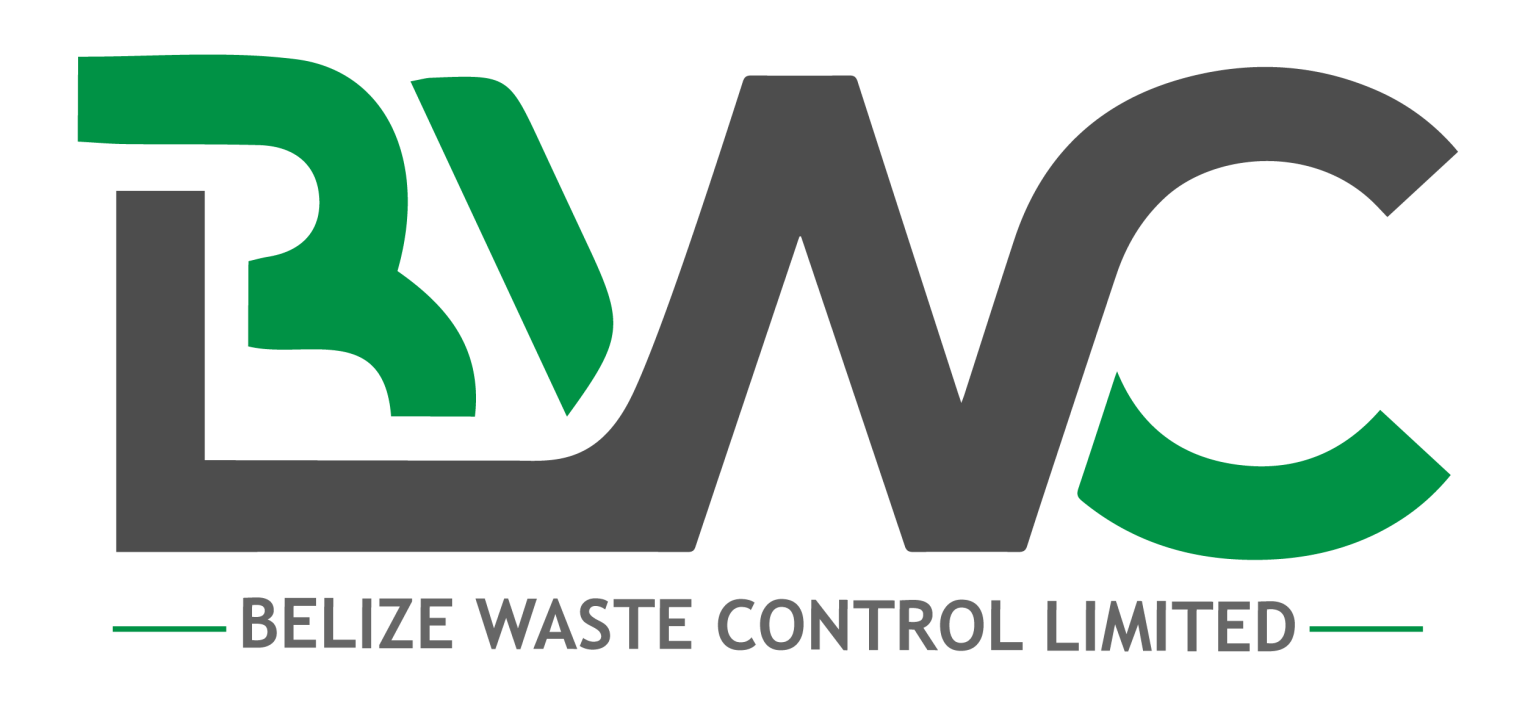 Belize Earth Day: A Creatively Green Pop-Up!BTB