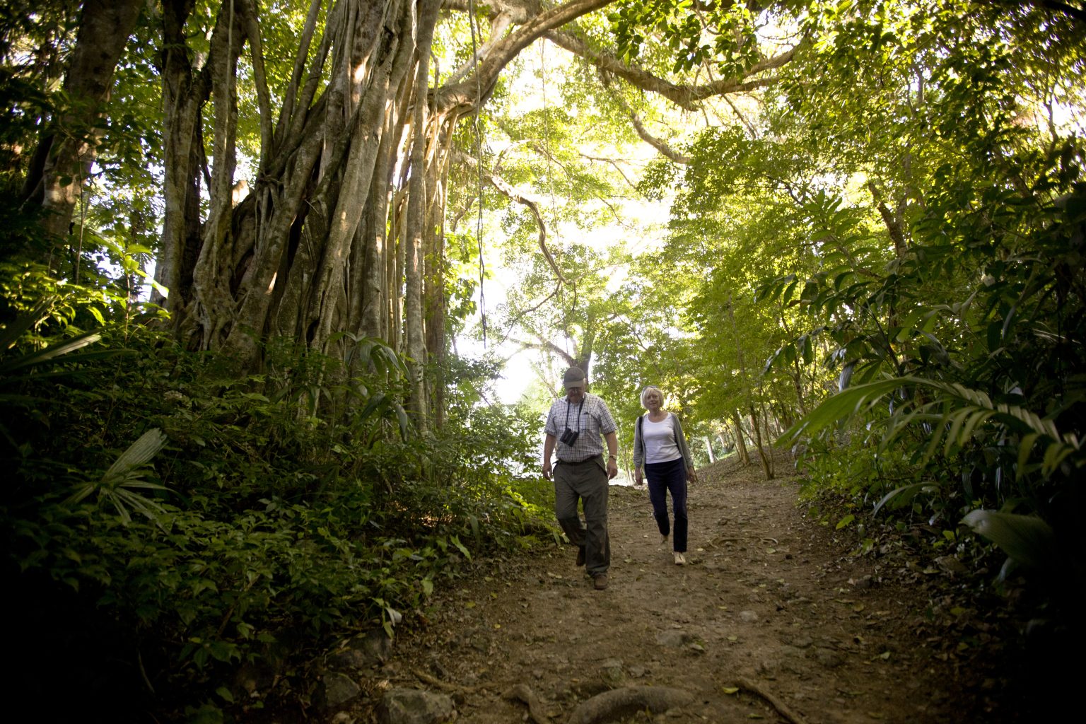 Travel Publications | BTB