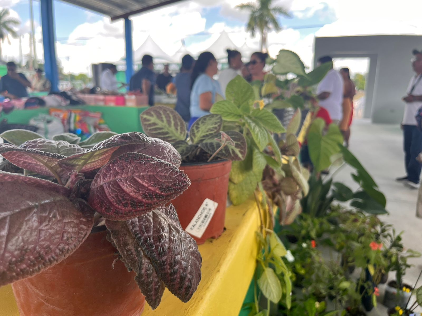 San Narciso Village Inaugurates First-Ever Community Market | BTB